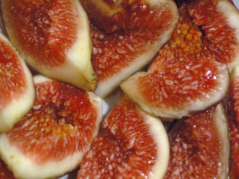 It’s Fig Season! | Lowcountry Weekly