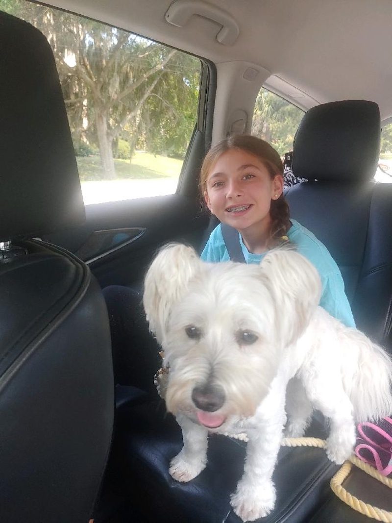 Battle of Shiloh | Lowcountry Weekly