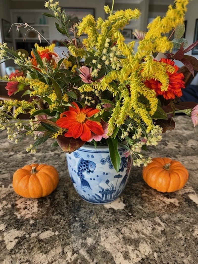 Thankful in November | Lowcountry Weekly