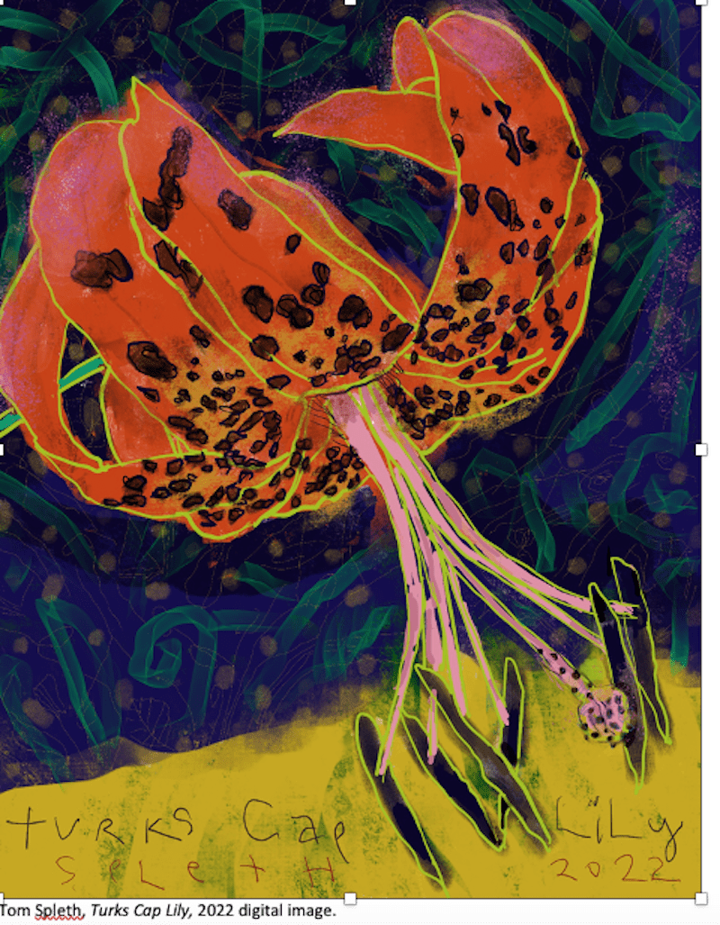 On the Edge of a Forest | Lowcountry Weekly