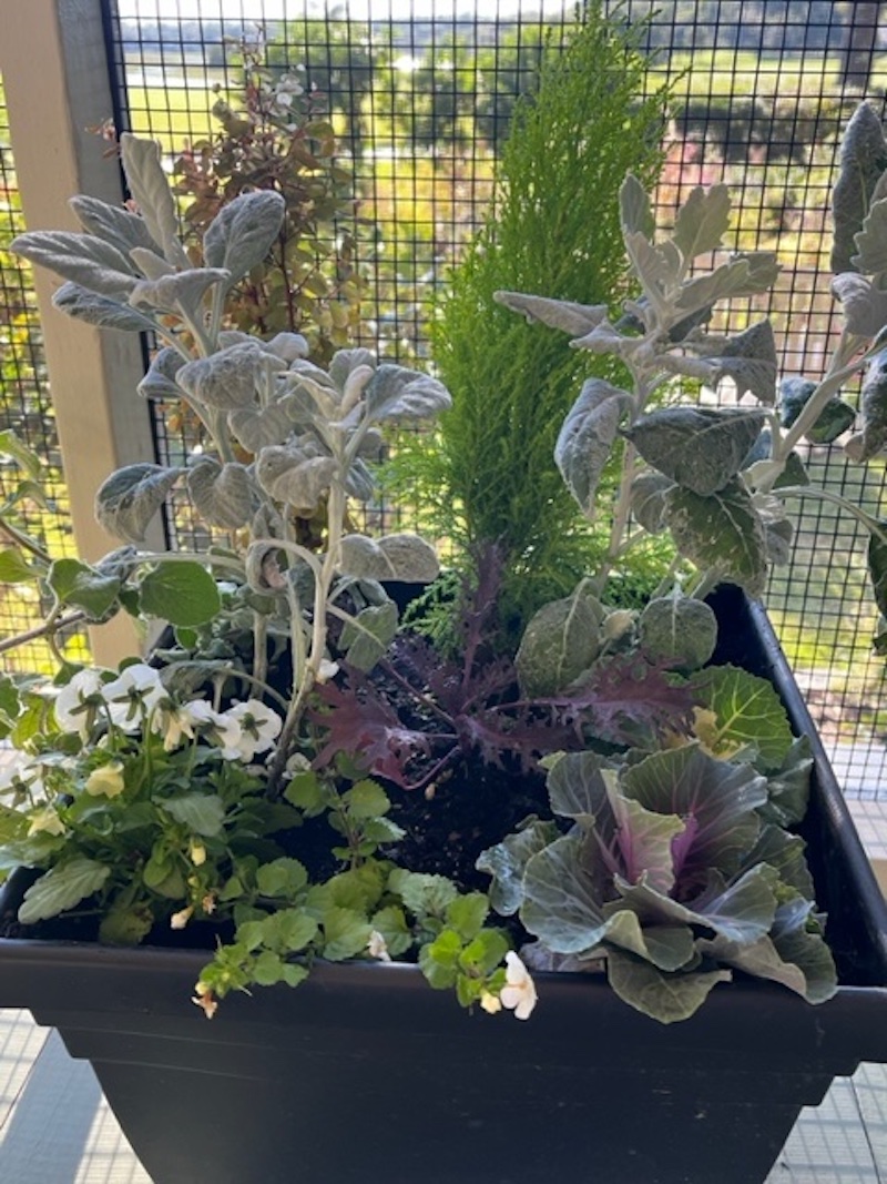 How Does My Garden Sleep? | Lowcountry Weekly