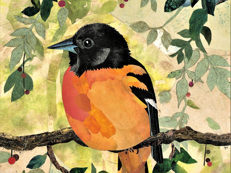 ‘Now & Then’ at Art League Gallery | Lowcountry Weekly