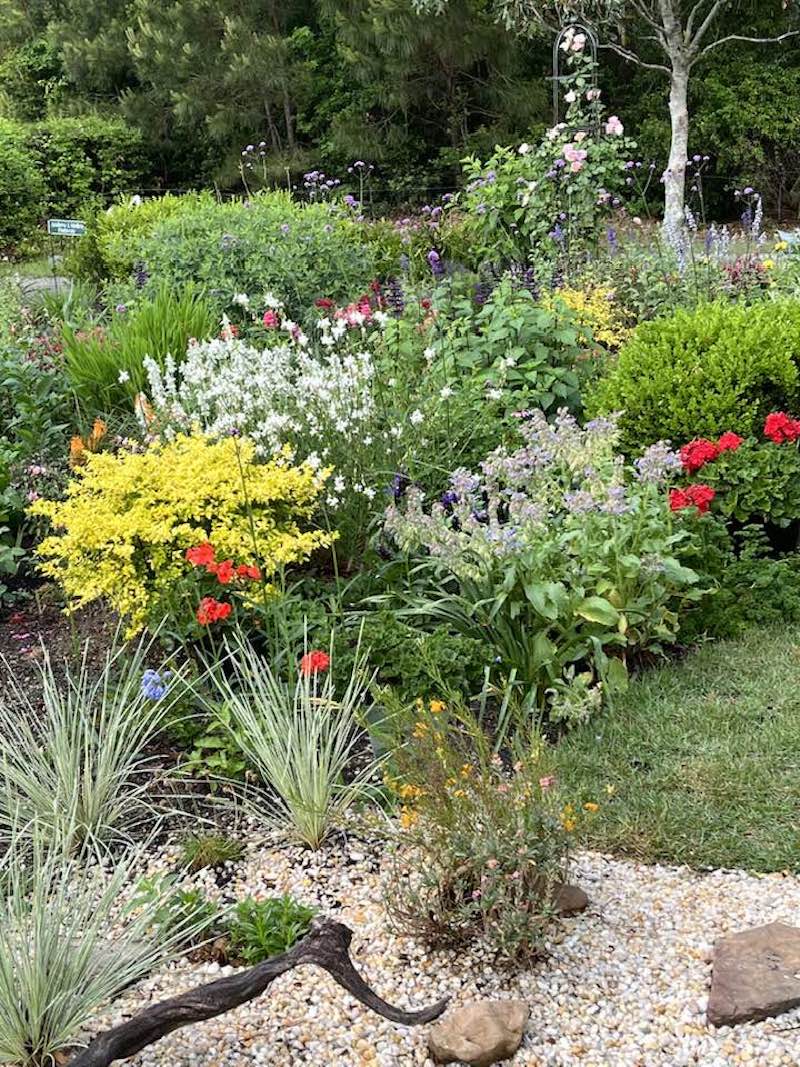 Awesome Annuals | Lowcountry Weekly