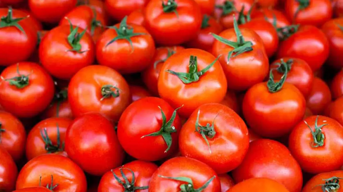 Tomatoes: A Fruit with an Identity Crisis | Lowcountry Weekly